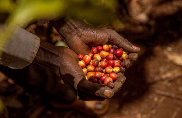About – ABC Impact