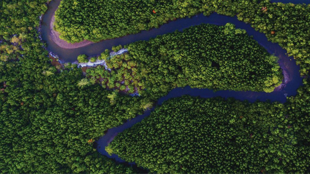 Impact Report 2020 – ABC Impact